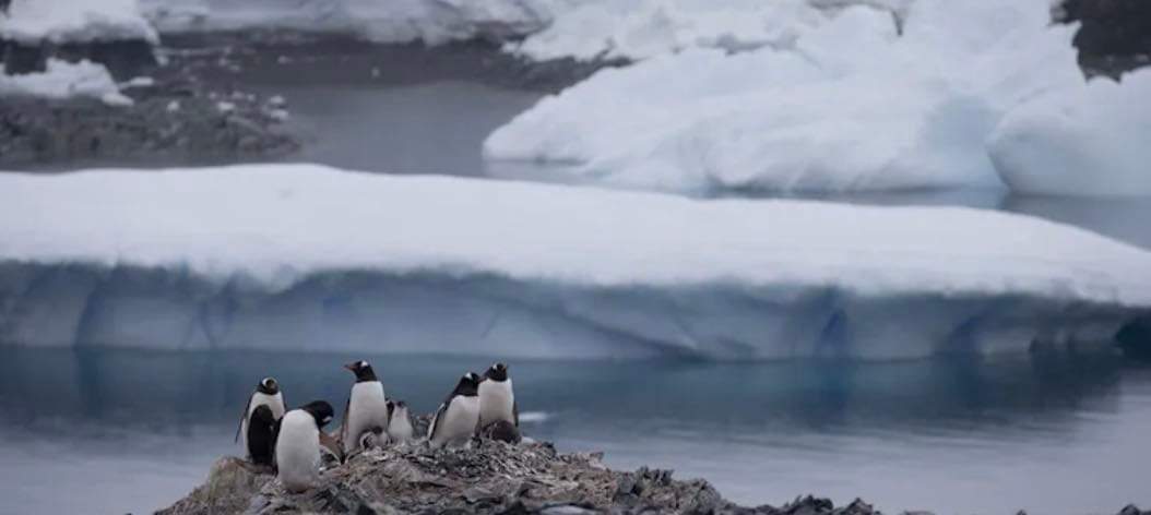Alarmi për klimën/ Rrezikohen akullnajat e Antarktidës Perëndimore ...